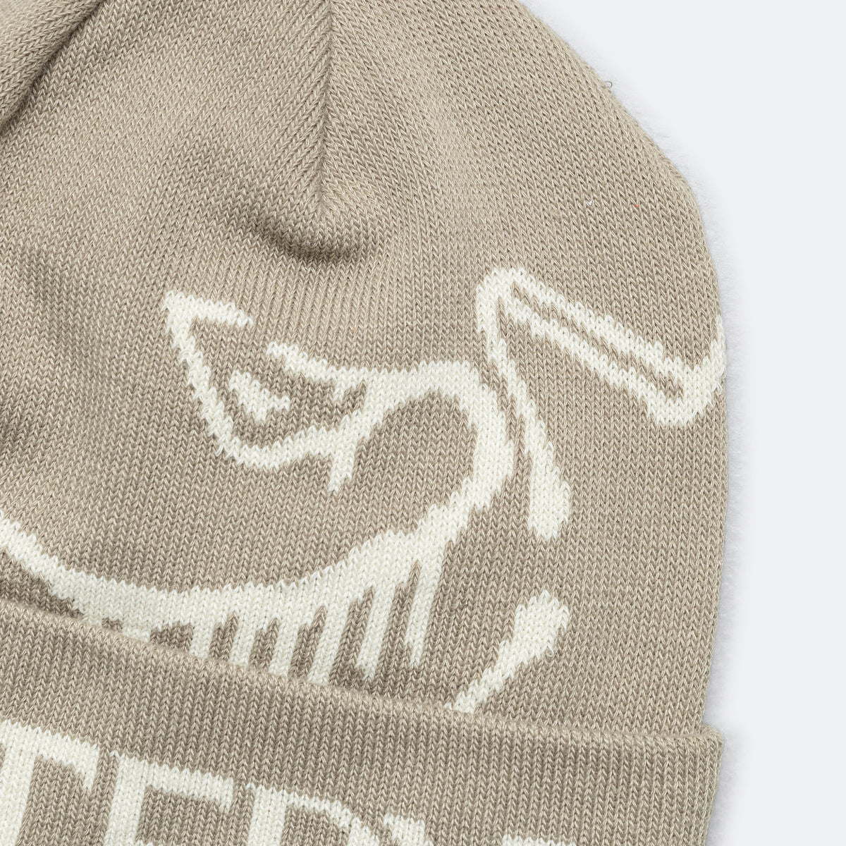 Arc'Teryx Bird Word Toque - Rune/Arctic Silk | Up There Athletics